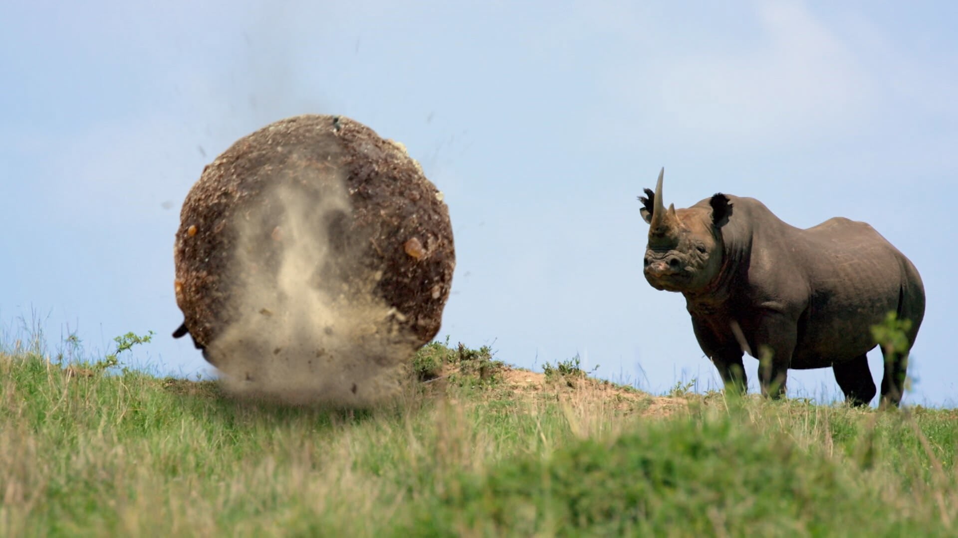 Watch Bad Nature Season 1 Episode 23 Online - Stream Full Episodes