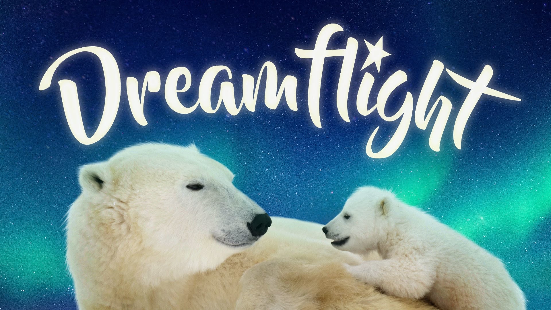 Watch Dreamflight Online - Stream Full Episodes