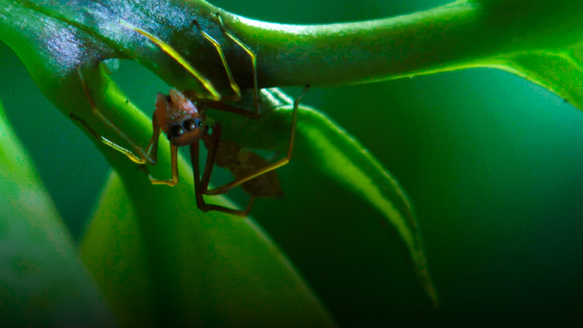 Watch Island Of The Monsoon Season 1 Episode 2 Online - Stream Full ...