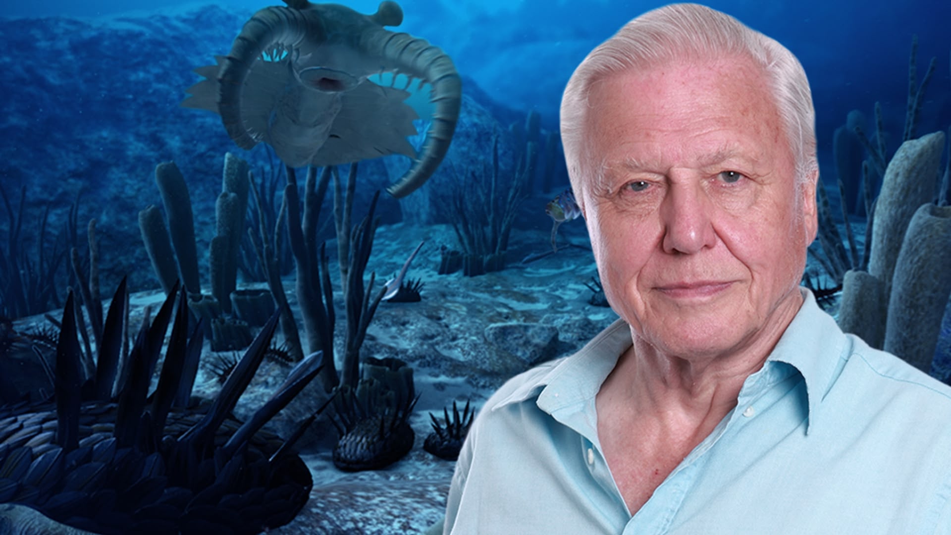 Watch David Attenborough's First Life Online - Stream Full Episodes
