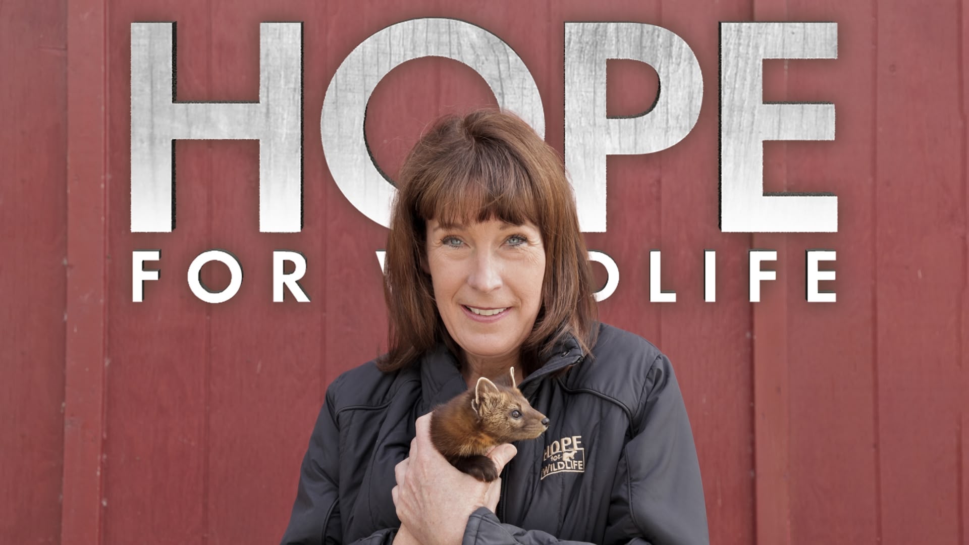 Watch Hope For Wildlife Online Stream Full Episodes