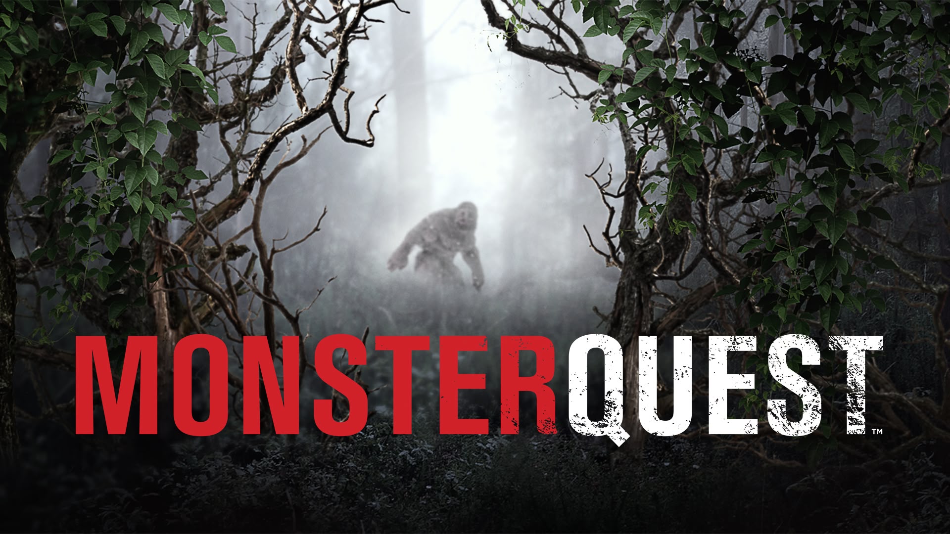 Watch The Best Of MonsterQuest Online - Stream Full Episodes