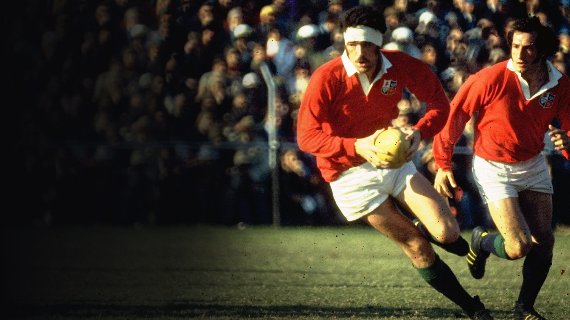 Lions Legends