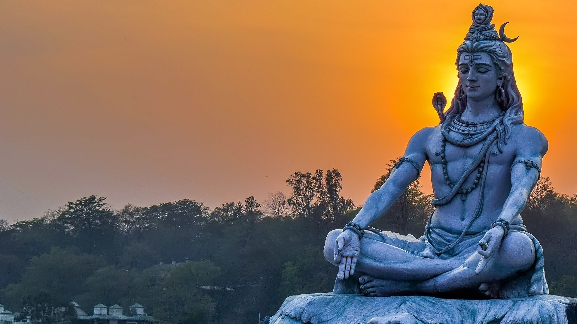 Pujya Ishan Shivanand ji