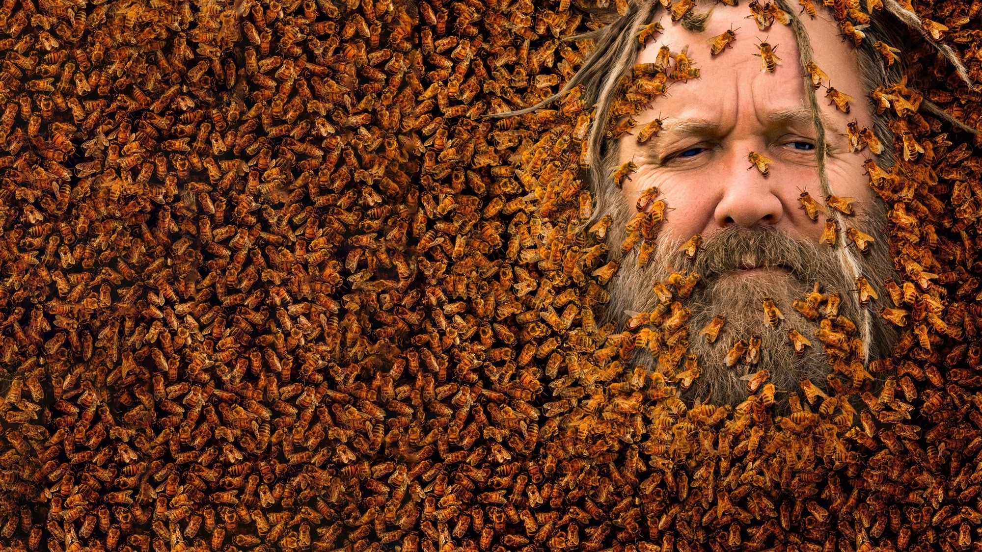 Bee Czar