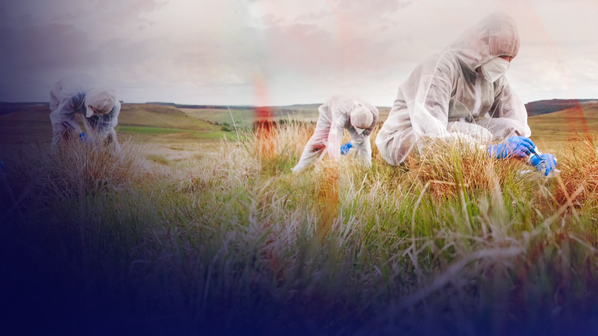 Death of an Expert Witness